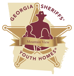 Georgia Sheriffs' Youth Homes – Protecting our youth, Preserving our ...