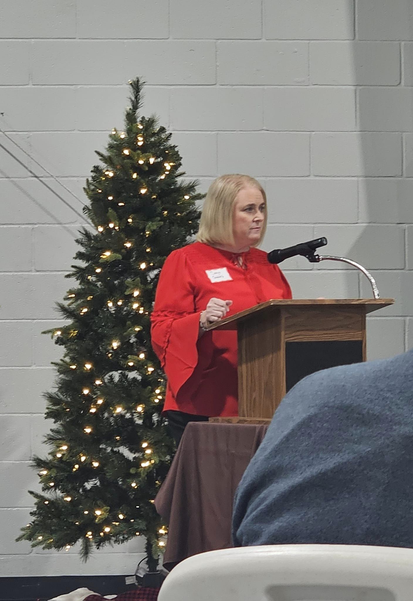 Pineland Christmas Celebration – Georgia Sheriffs' Youth Homes